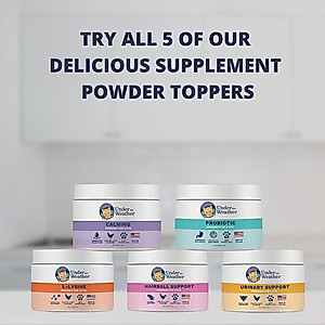 Under the Weather Pet Calming Powder for Cats | Natural Anxiety and Stress Relief Cat Supplement | Supports Relaxation & Normal Emotional Balance During Grooming, Travel & Thunderstorm - (2.54 Oz)