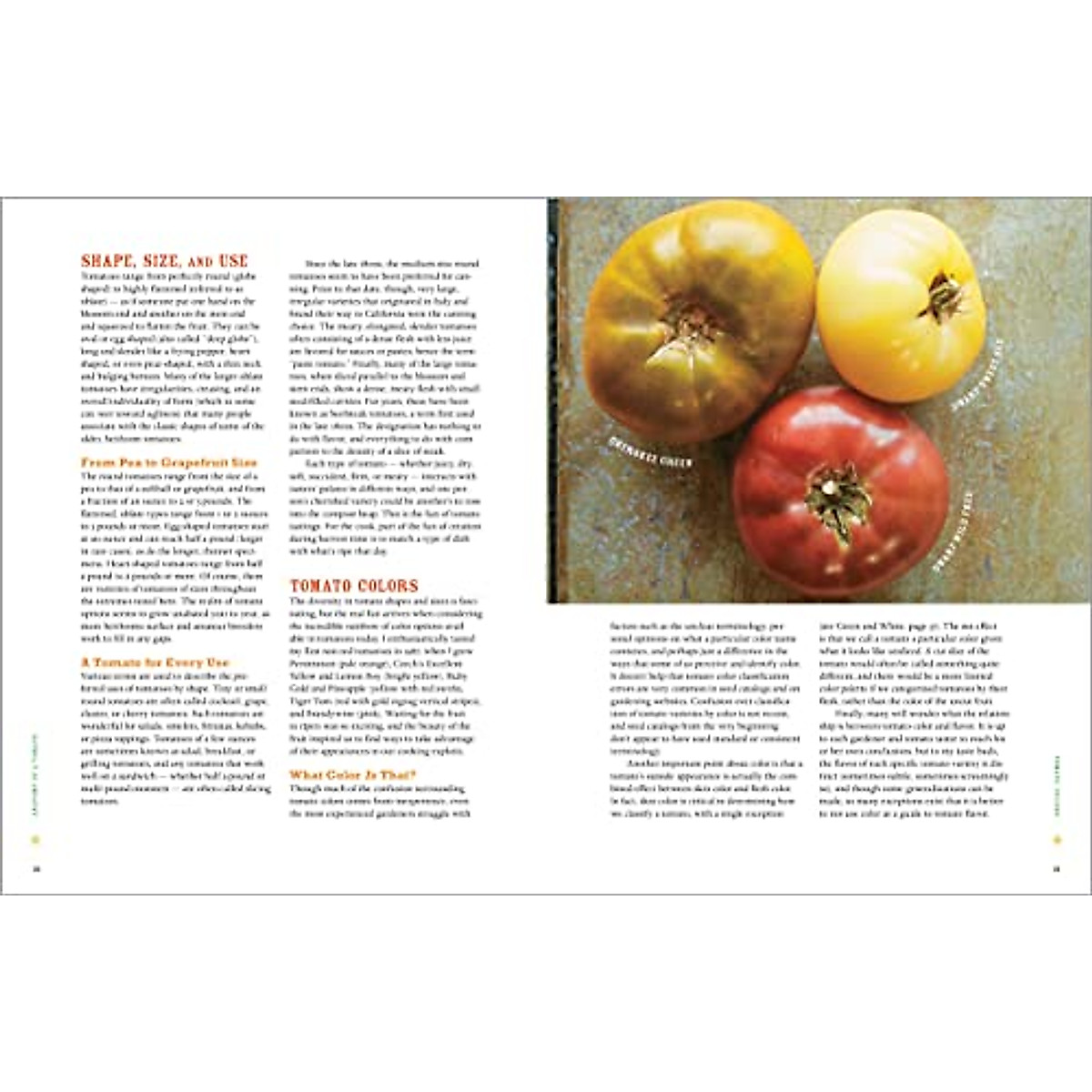 Epic Tomatoes: How to Select and Grow the Best Varieties of All Time