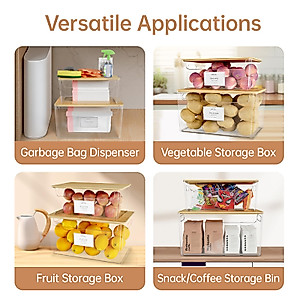 COAZEX 2 Pack Trash Bag Holder Under Sink Stackable, Plastic Garbage Bag Dispenser with Lid, Trash Bag Storage Dispenser Roll Holder for Kitchen, Pantry, Laundry Room Organization