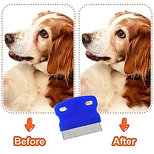GUBCUB Pets Grooming Comb Kit for Small Dogs Puppies, Tear Stain Remover Comb, 2-in-1 Dog Combs with Round Teeth to Remove Knots Crust Mucus