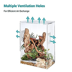 Reptile Terrarium Tank,Tarantula Enclosure 15’’x10’’x6’’ INKPET Acrylic Medium Feeding Tarantula Habitat Box for Hermit Crab,Leopard Gecko,Snake,Frog and Chameleon Cage(No Assembly Required)