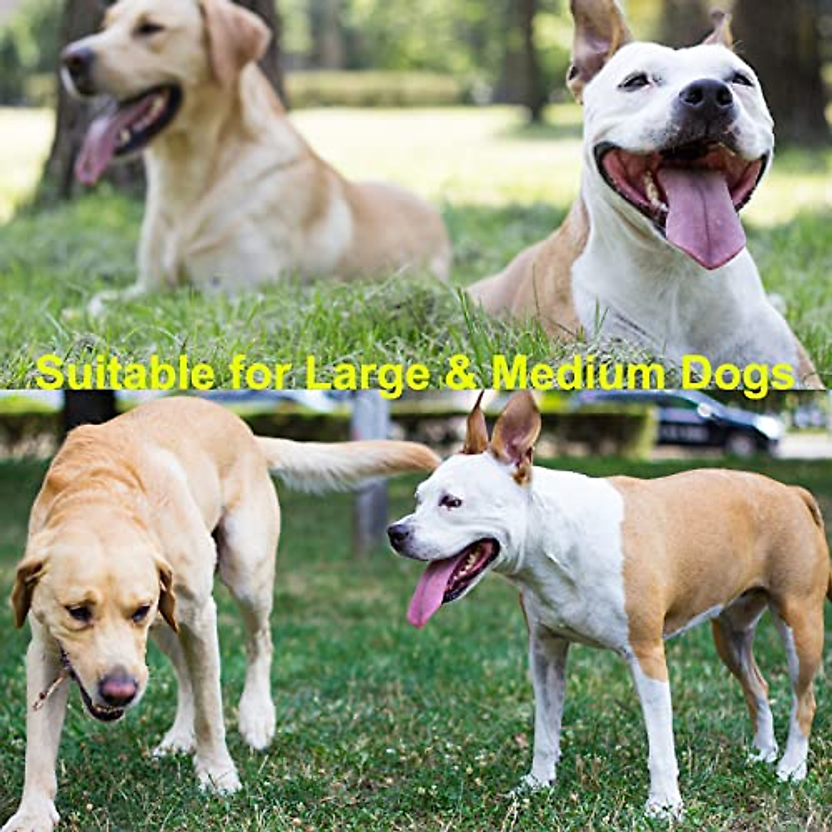 Guiding Star Black Leather Dog Leash 6ft, Soft Durable Genuine Handmade Braided Leather Dog Lead, Heavy Duty Strong Dog Training Walking Dog Leash Leather for Large & Medium Dogs