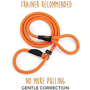 Mighty Paw 6' Slip Dog Leash - Gentle Correction with No More Pulling - Rock Climbers Rope for Ultimate Strength - Universal Design - One Size Fits All - Control When You Need It - Reflective Thread