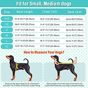 Due Felice 2 Packs Dog Surgery Recovery Suit Small Dogs Onesie for Surgery Female Male Dog Surgical Recovery Suit After Spayed Neuter Body Suit Anti-Licking Wounds Dog Cone Alternative