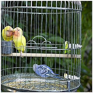 WishLotus Bird Cage Feeding Clips, 4 PCS Plastic Durable Parrot Fruit Vegetable Clips Bird Cage Food Holder Mini Bird Cage Feeder for Pet Birds and Parrot Feeding Bird Cage Accessories (A)