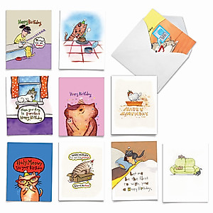 The Best Card Company - 10 Cute Birthday Note Cards with Envelopes (4 x 5.12 Inch) - Pets and Animal Notecards, Boxed Assortment - Kitty Birthday M3791BDG-B1x10