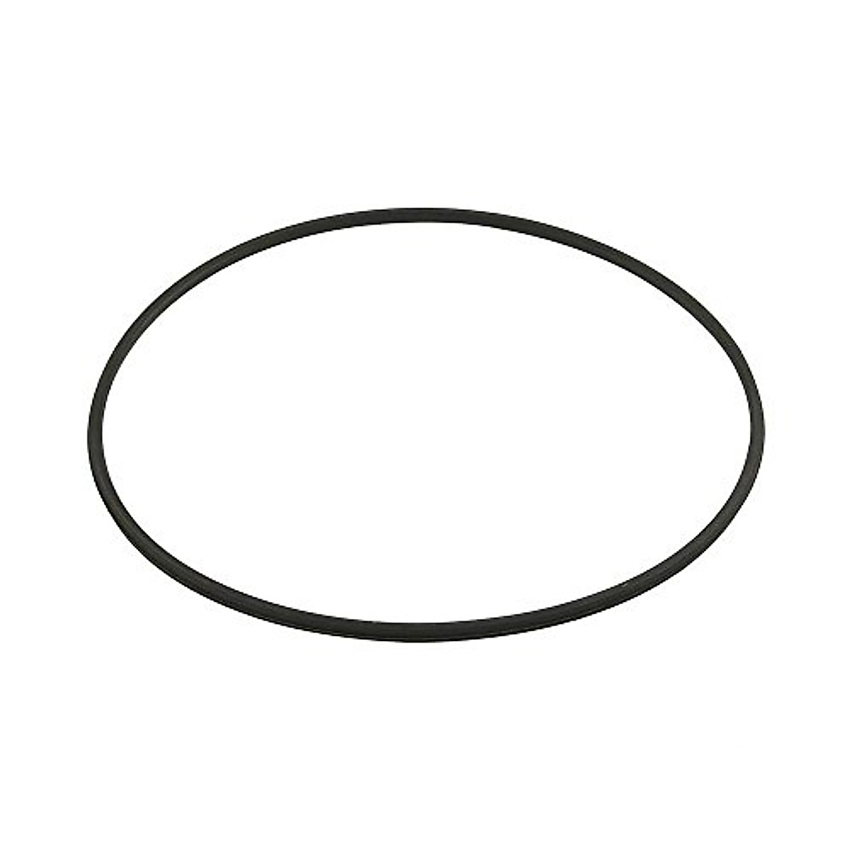 Hayward DEX2422Z2 Metal Reinforced Filter Seal Replacement for Select Hayward Filters