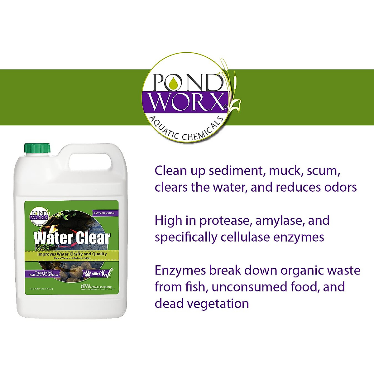 PondWorx Pond Bacteria and Water Clear- Formulated for Large Ponds, Water Features and Safe for Koi, Improves Water Quality- Gallon