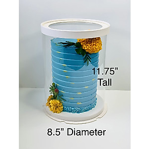 White Tall Clear Cake Boxes 5 PCs - 8 Inch Round Clear Cake Box For Birthday Cake | Wedding Cake - Transparent Cake Box - Bakery Boxes - Clear Gift Boxes (White 8.5"D x 11.75" H)