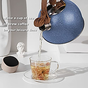 Tea Kettle for Stovetop, 2.5 Quart Stainless Water Teapot Boilers for Stovetops, Induction Stone Kettle with Loud Whistle - Perfect for Preparing Hot Water Fast for Coffee Tea (Blue)
