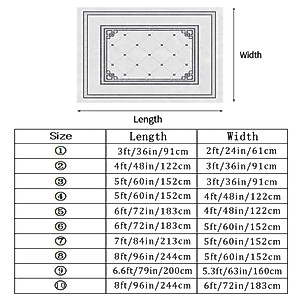 EBOTEB Pink White Black Honeycomb Pattern Rug, Geometric Light Luxury Gold Lines Bedroom Carpet, Fluffy Comfortable Soft with Rubber Backing for Living Room Hotel Hallway Girl Room 2ftx3ft, Style-2