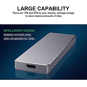 External Hard Drive 2TB Type C USB3.1 for PC, Mac, Desktop Computer Wii U, Xbox (2to, Silver)