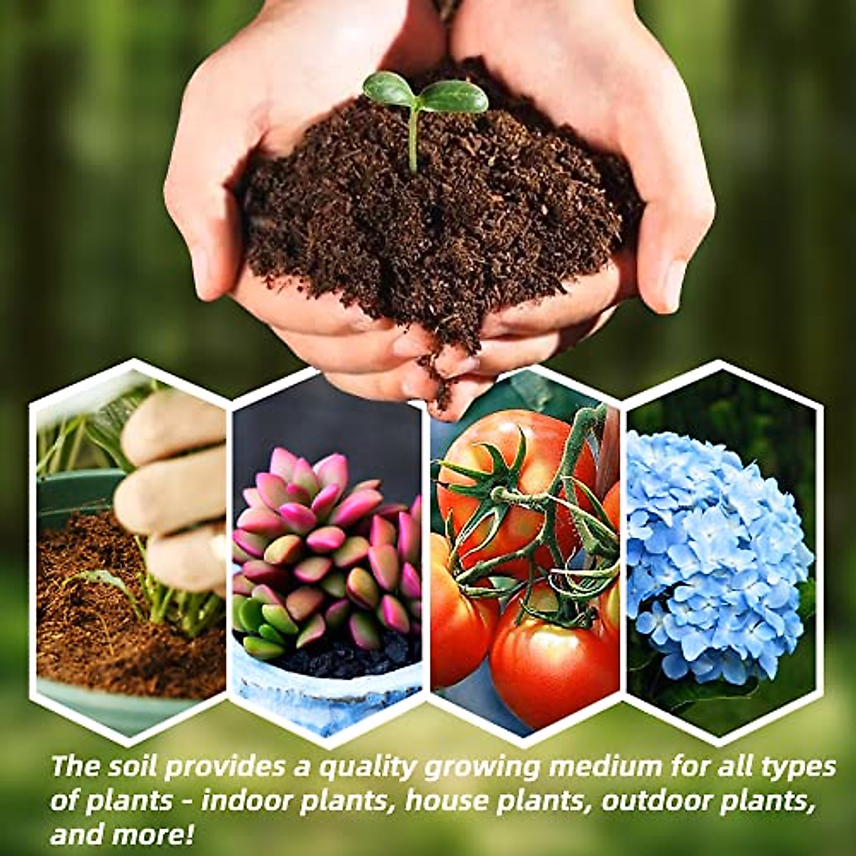 6 Qt Potting Soil, Organic Potting Mix for Indoor and Outdoor Plants, Succulent and Cactus Soil Potting Mix with Fast Draining Formula Natural Mixture Bonsai Soil for Plant Fast Growing