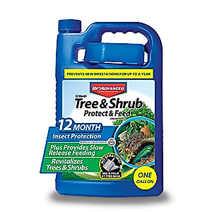 BioAdvanced 12 Month Tree and Shrub Protect and Feed II, Concentrate, 1 ...