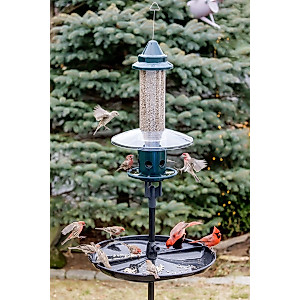 Squirrel Buster Plus Squirrel-proof Bird Feeder w/Cardinal Ring and 6 Feeding Ports, 5.1-pound Seed Capacity, Adjustable, Pole-mountable (POLE ADAPTOR SOLD SEPARATELY), Green