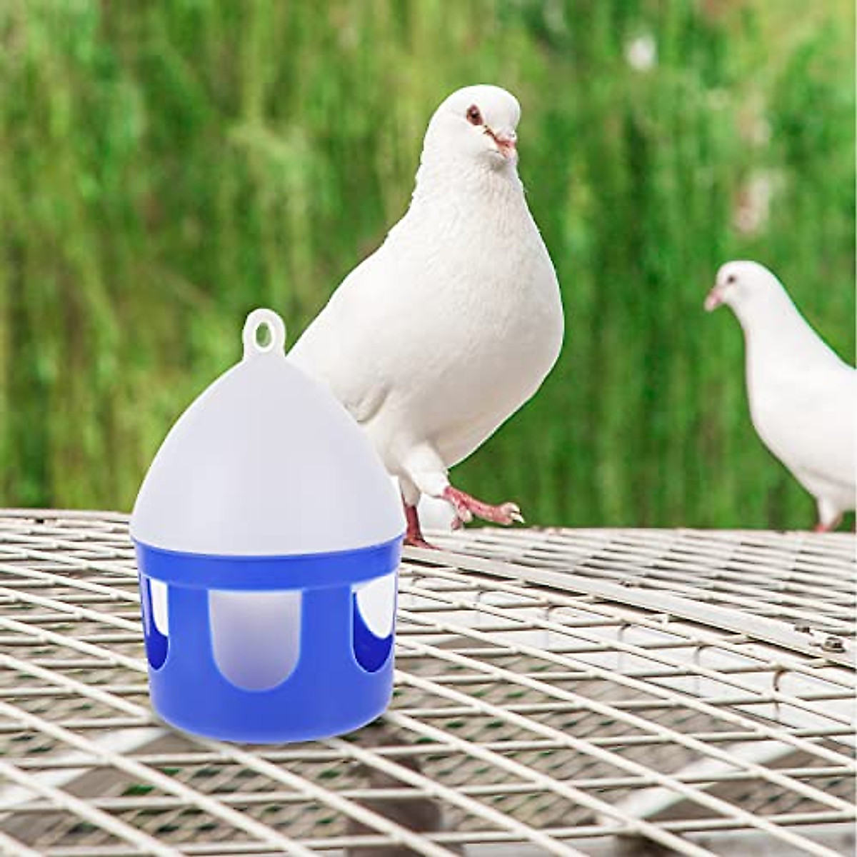 Mipcase Ser of 2 Pigeon Water Feeder Bird Water Drinker Pigeon Water Drinker Plastic Pigeon Feeder Pigeon Water Dispenser