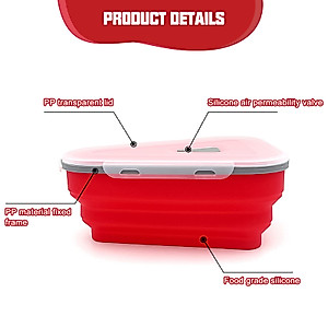 bkkbt Collapsable Pizza Storage Container - Reusable Pizza Box with 5 Microwaveable Serving Trays, Pizza Leftover Container Storage Space Saver, Microwave and Dishwasher Safe