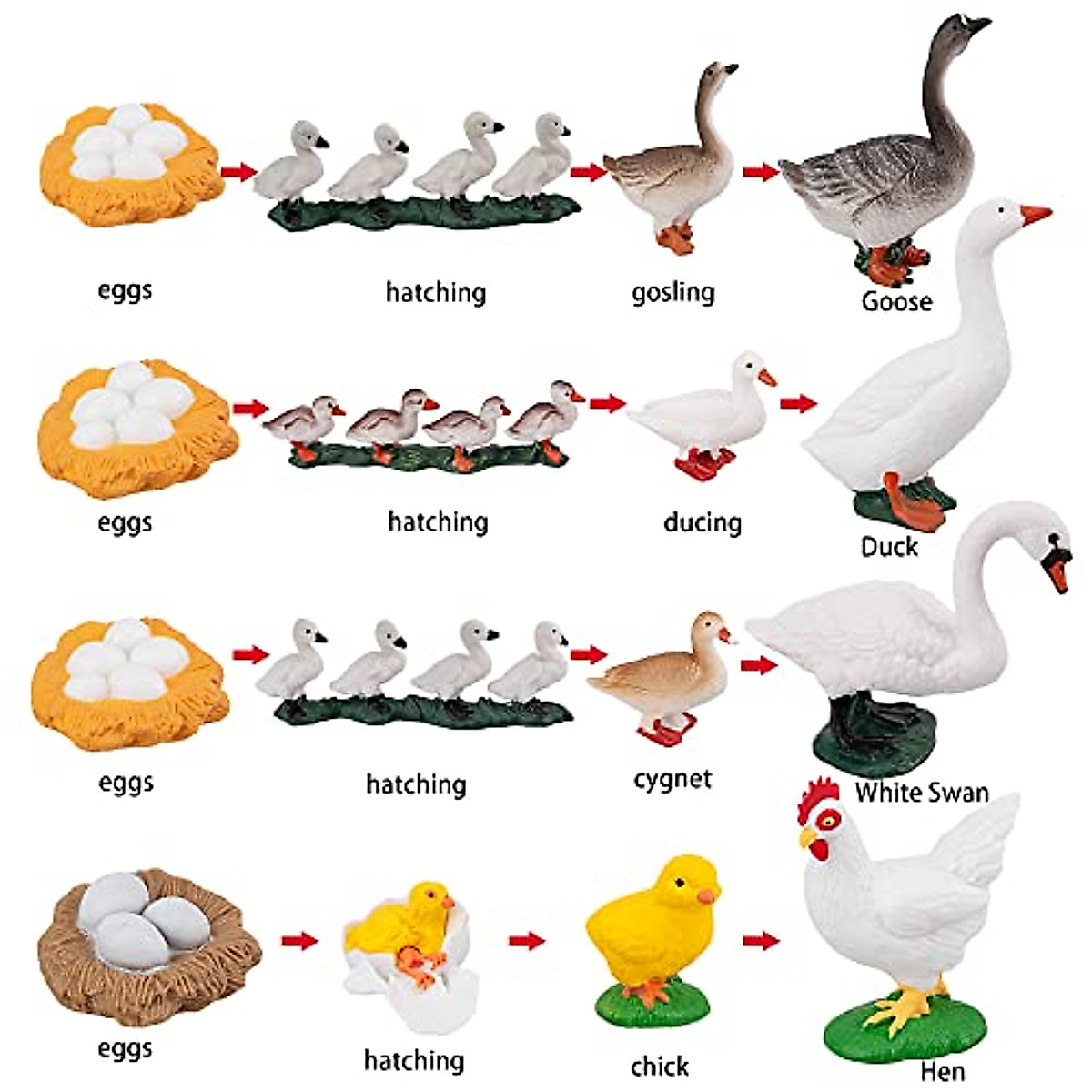 Toymany 16PCS Life Cycle of Goose White Swan Chicken Duck Farm Animals Figures, Plastic Safariology Growth Cycle Eggs Figurines Toy Kit School Project Cake Topper for Kids Toddlers