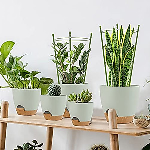 4 Pack Plant Support Tomato Cages for Garden, 18 Inches Small Tomato Cages and Supports with Adjustable Rings for Garden Pots, Plant Stakes Tomato Trellis Rings for Climbing Plants