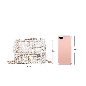 Qiayime Purse and Handbags for Women Fashion Tweed Pearl Top Handle Satchel Shoulder Tote bead chain Crossbody Clutch Bag (White)
