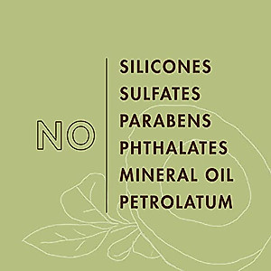 SHEA MOISTURE Moringa Avocado Power Greens Shampoo, 13 FZ