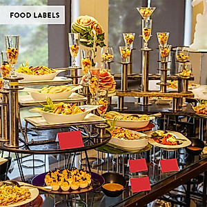Andaz Press Table Tent Printable Place Cards, Red 20-Pack, Seat Placement Cards Blank Place Cards For Table Settings Name Cards for Bridal Wedding Shower, School Graduation Food Cards Red Card Table
