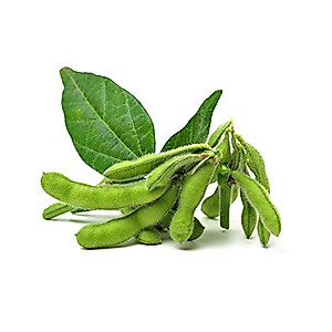 Soybeans Seeds for Planting, 25+ Heirloom Seeds Per Packet, (Isla's Garden Seeds), Non GMO Seeds, Botanical Name: Glycine max, Great Home Garden Gift