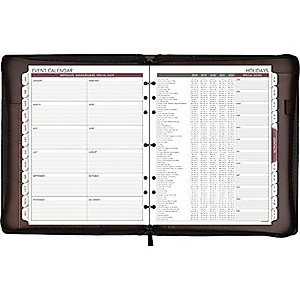 AT-A-GLANCE Day Runner Undated Harrison Leather Day Planner, 8-1/2-x-11-inch (307-0304), Brown