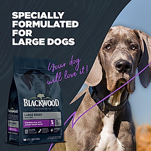 Blackwood Large Breed Dry Dog Food, Whitefish with Ancient Grains, 10 Pound Bag for Adult Dogs, Slow Cooked with Green Mussels to Promote Hip & Joint Health