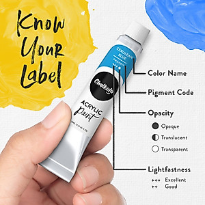 Chalkola Acrylic Paint Set for Adults, Kids & Artists - 40 Piece Acrylic Painting Supplies Kit, with 24 Acrylic Paints (22ml), 10 Painting Brushes, 5 Canvas for Acrylic Painting (8x10) & 1 Palette