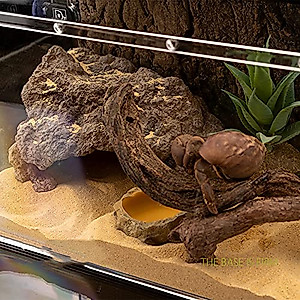RunXF Reptile Simulation Rock Hideouts Cave Amphibian Hides Resin Habitat Decor Shelter for Gecko Leopard Lizards Toad Turtle (Small),grey