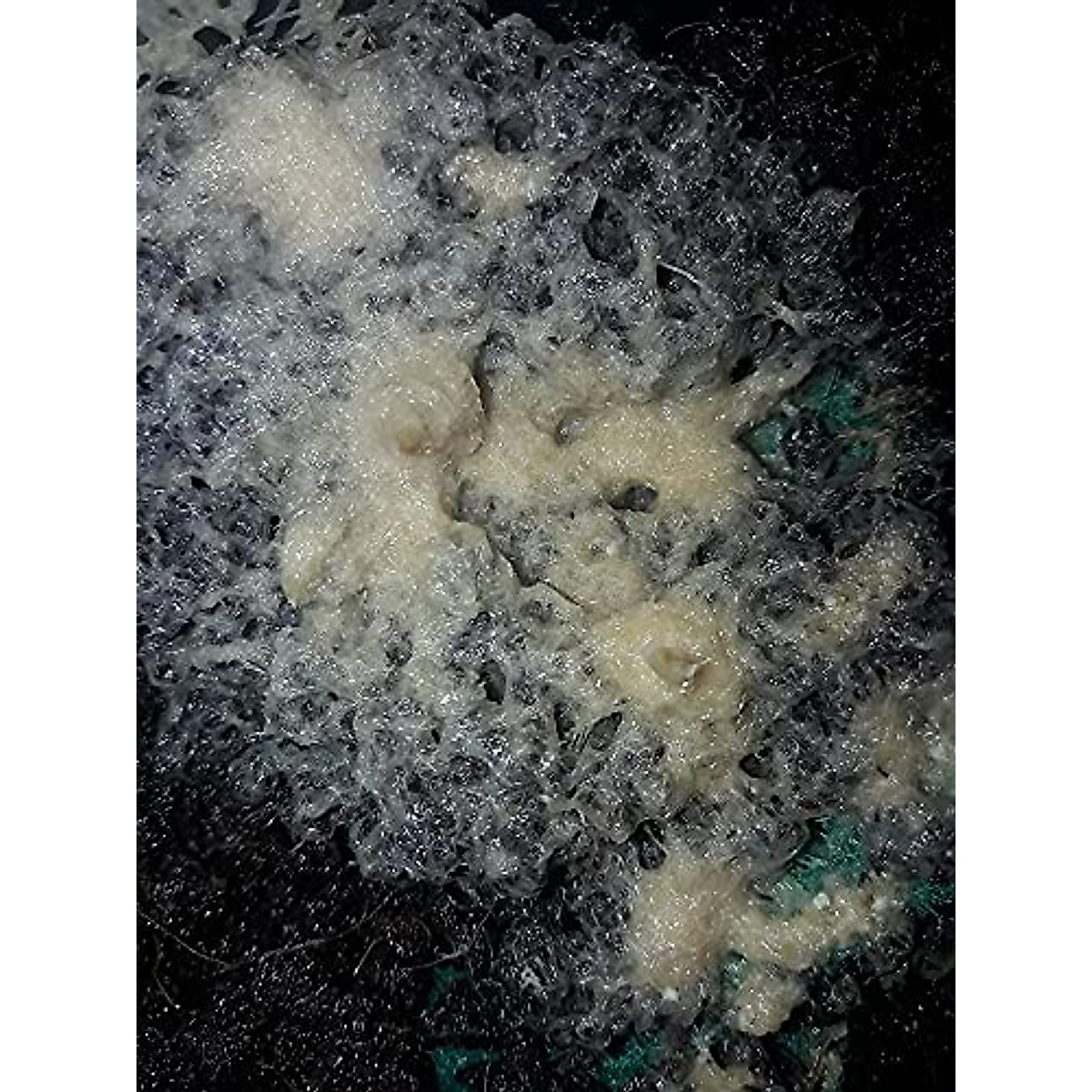 2 oz Grindal Worm Starter Culture Live Fish Food for Betta Fry Killifish & More