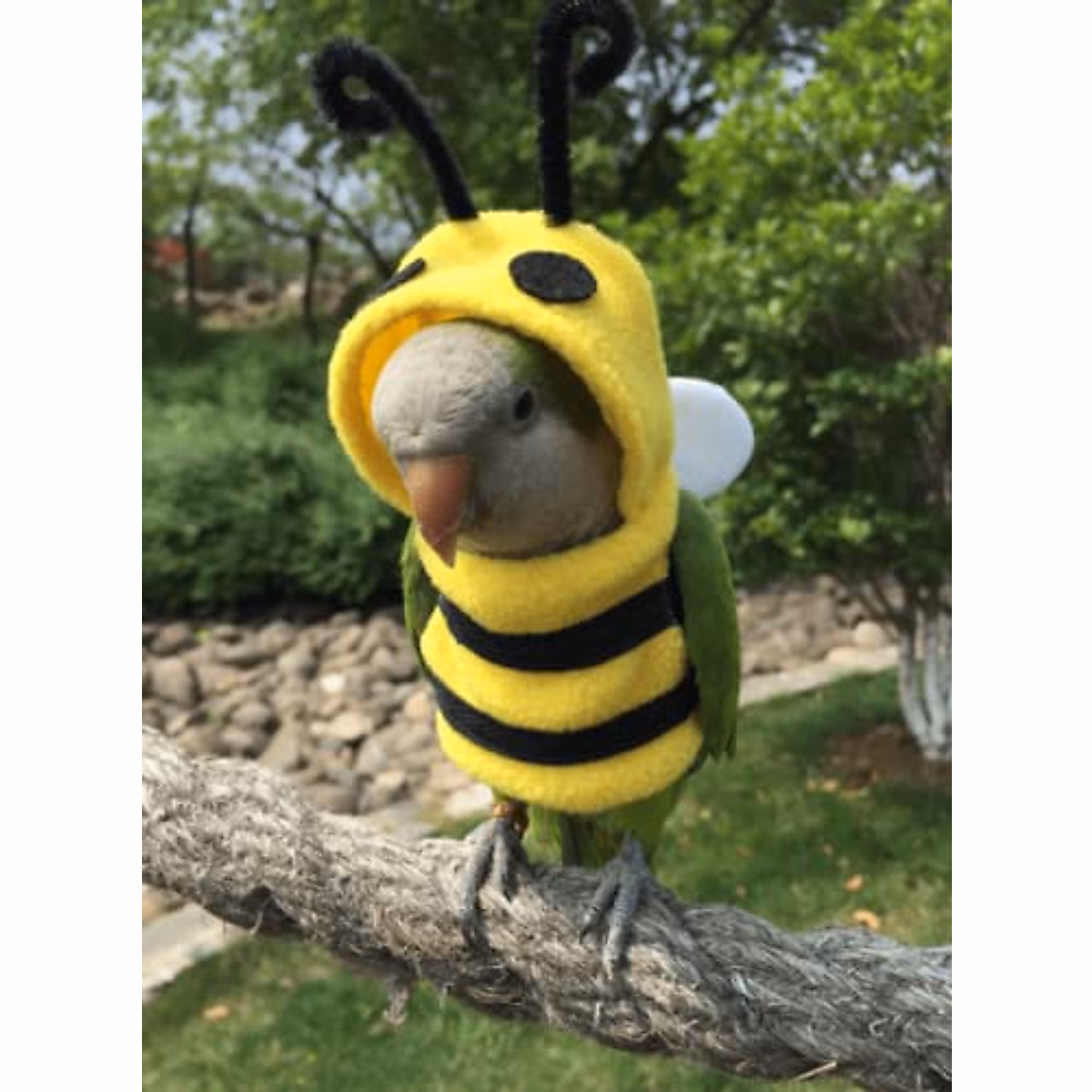 Bird Costume Bird Diaper Flight Suit Bird Bee Shape Bird Clothes Cosplay Photo Prop for Parrots Lovebird Budgie Parakeet Cockatiel Sun Conure, Small Animals Apparel (Bee Without Diaper, X-Large)