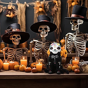 Hiboom Skeleton Black Cat Stuffed Animal 13 Inch Soft Plush Black Kitten Stuffed Animal Nightmare Catnap Plush for Halloween Day of The Dead Decor Gift Birthday Party Favors(Classic Style)