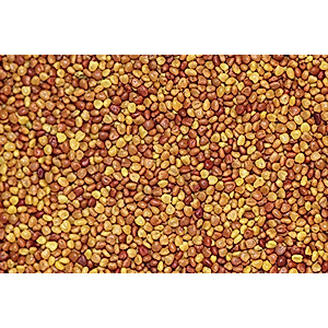 White Clover Seeds, Nitro-Coated and Inoculated, 1 Pound by Seeds2Go