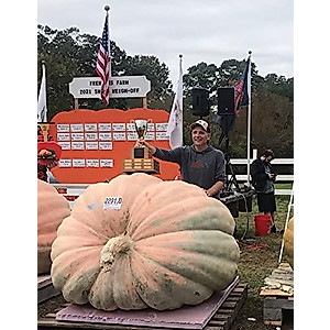 Ron Wallace's Whoppers Giant Pumpkin Seeds (5 Seeds per Package)