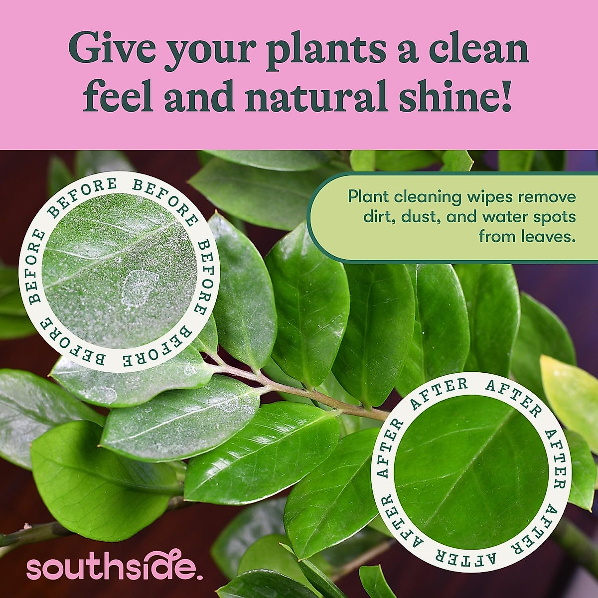 Plant Cleaning Wipes by Southside Plants - Gentle, Plant-Based Wipes for Shiny Leaves and Better Photosynthesis - Unscented, Extra Thick Waffle Weave Leaf Wipes for Indoor & Outdoor Plants - 80 Ct