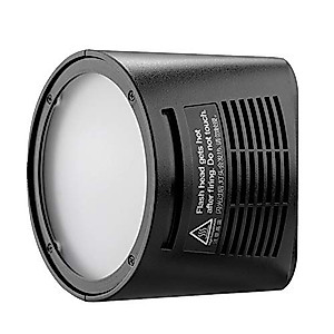 Godox AD200Pro AD200 PRO Pocket Strobe Flash, 200Ws TTL HSS 1/8000s 2.4G Studio Monolight, Lithium Battery Outdoor Speedlite with Godox H200R Ring Flash Head and Godox AK-R1 Round Head Accessories Kit