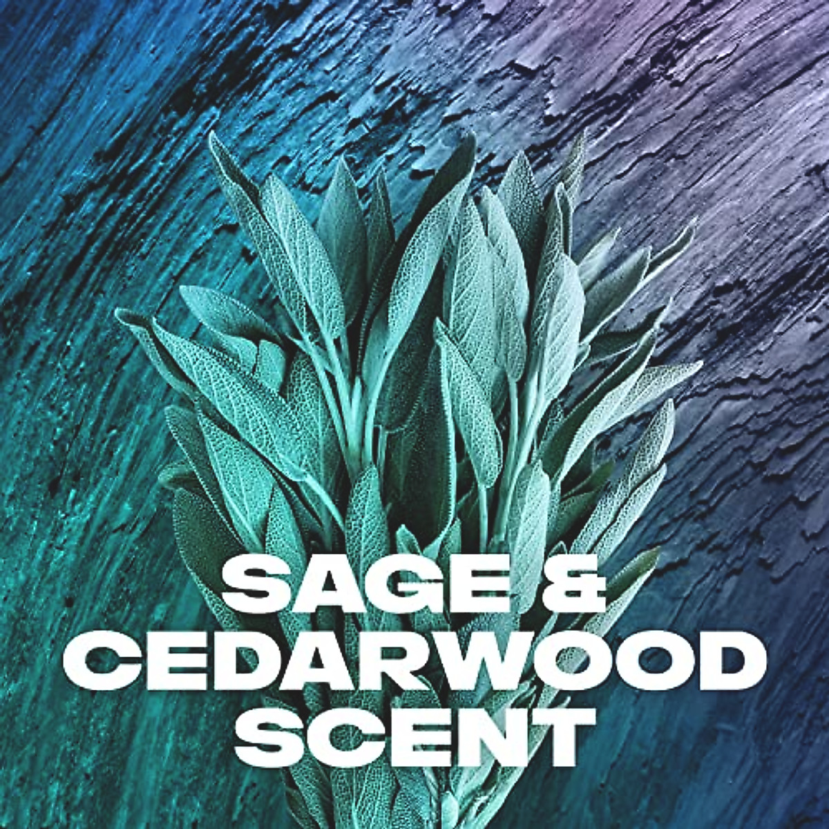 AXE Wash & Care 2-in-1 Shampoo & Conditioner Apollo Wash & Care 4 Count for Clean & Strong Hair Sage & Cedarwood 100% Recycled Bottle 28 oz