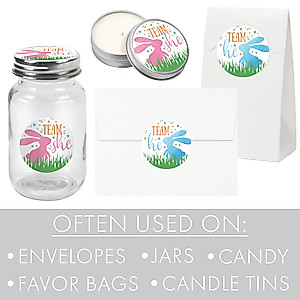 What Will Our Little Bunny Be Gender Reveal Party -Team He or Team She - 40 Stickers