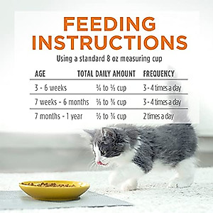 Purina Kitten Chow Dry Kitten Food, Nurture Muscle + Brain Development - 14 lb. Bag