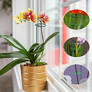 6 Pack Plant Support Stakes, 16 inch Plant Support Rings with 50 Pcs Plant Twist Ties, Single Stem Plant Support Stakes for Plant Flowers, Amaryllis, Rose, Orchid, Peony, Lily, Tomatoes, Vegetable