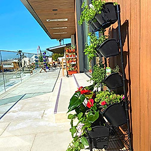 Watex Mobile Green Wall (Single Frame, Black), BPA Free Planters