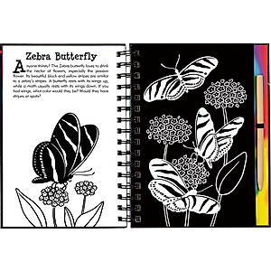 Scratch & Sketch Butterflies & Friends (Trace Along)