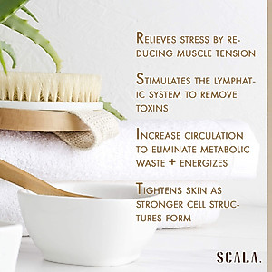 Dry Brushing Body Brush SCALA Natural Bristle Body Brush, Soft Body Exfoliating Brush Scrub for Dead Skin, Cellulite, Lymphatic Drainage, Blood Flow – Thicker & Stronger Medium Strength
