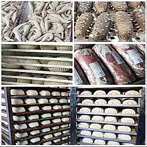 Kolice Commercial 110V 60HZ US 10 trays blast chiller & freezer, chest freezer,batch freezer,blast Freezer for hard ice cream,fresh meat,chicken,fish in hotels, restaurant, bars, canteens