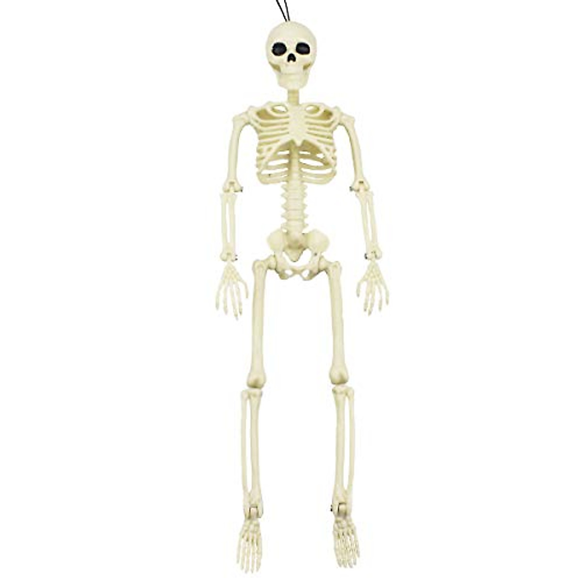 XONOR 16” Posable Halloween Skeleton- Full Body Halloween Skeleton with Movable Joints for Haunted House Props Decorations (1pc)