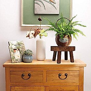 NMFIN Wood Plant Riser Stands,Mini Round Stool Bonsai Holder Potted Display Shelf for Office Dining Room Indoor Outdoor Decor