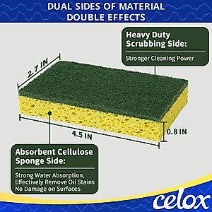 CELOX 12 Pack Dish Sponge for Kitchen, Dual Sided Scrub Sponge Heavy Duty, Non Scratch Sponges Perfect for Kitchen Dishwashing and Household Cleaning, Highly Absorbent and Easy to Dry for Reuse