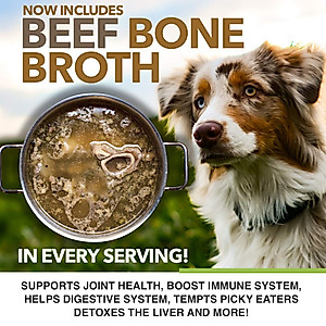 Earth Vet Super Immunity + for Dogs - Contains Organic Spirulina, Organic Chlorella, Organic Turmeric and Reishi Mushroom (60 Servings)